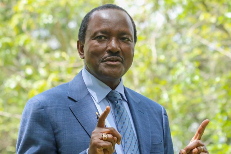TV47 Anchor Named By Kalonzo For Special Role - Vantage Ke