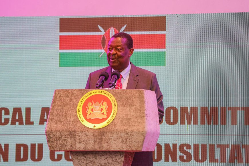 LIST: Mudavadi Gazettes 27 New Sub Counties, Including Roysambu ...
