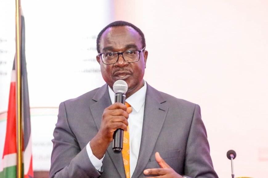 How To Check 2024 KPSEA Results - Viral Tea Ke