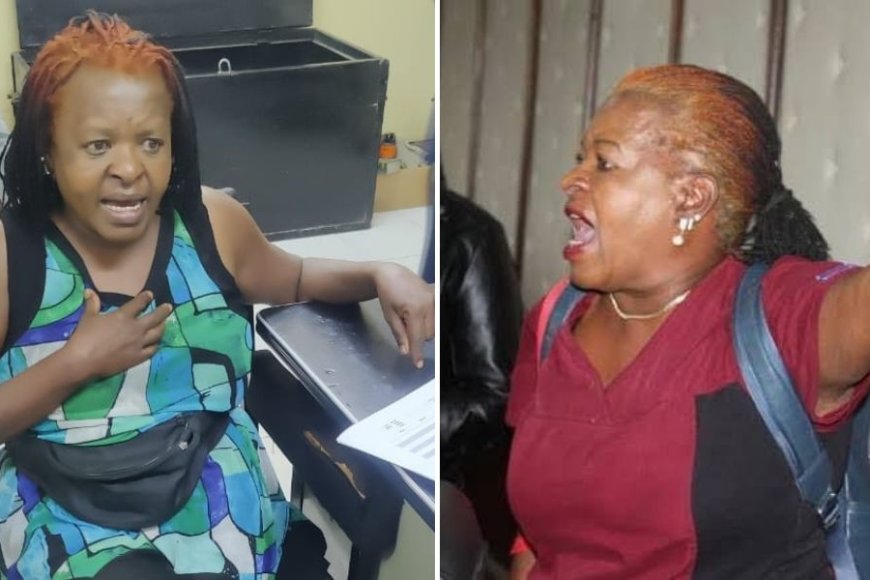 Grace Njoki, Woman Who Stormed CS Barasa's Address, Claims Police ...