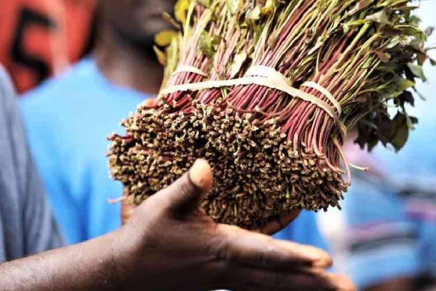 CS Mutahi Kagwe Increases Miraa Prices - Viral Tea Ke