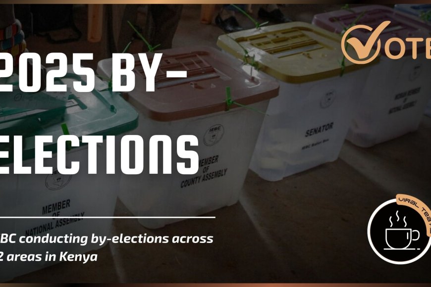 How To Check & Confirm 2025 By-Elections Results In Real-Time Via IEBC ...