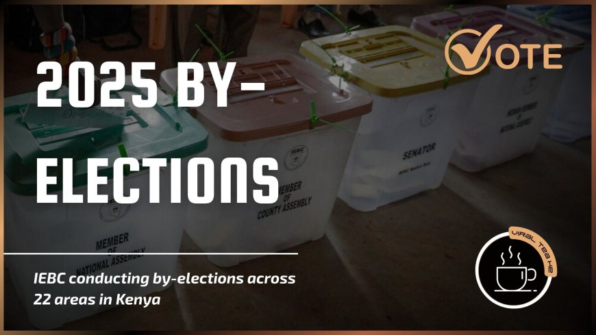 LIVE: By-Elections Underway In 22 Areas, Including Mbeere North, Malava ...