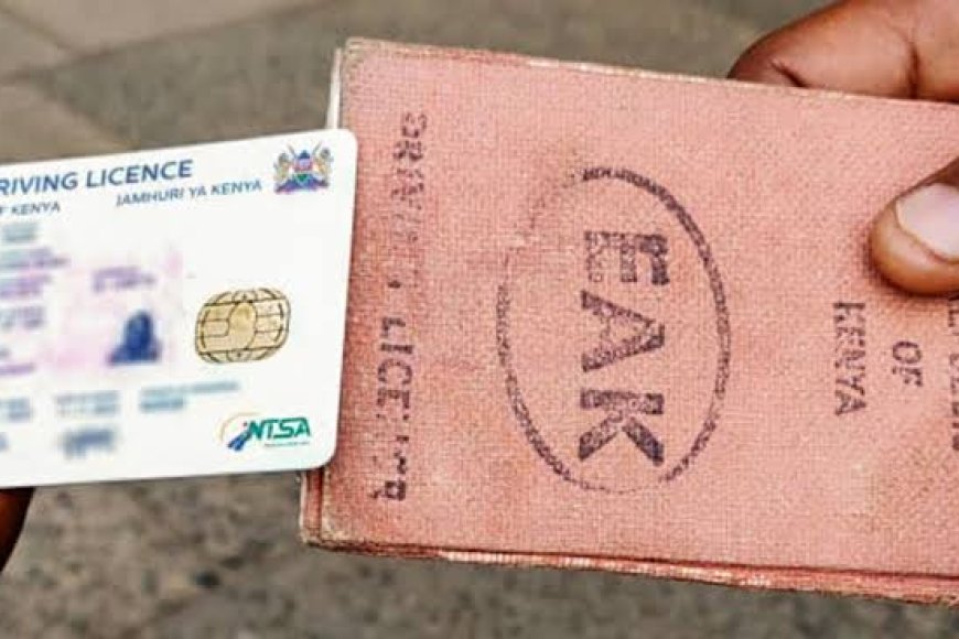 Cabinet Allows Rollout Of Second Generation Driving Licences Through ...